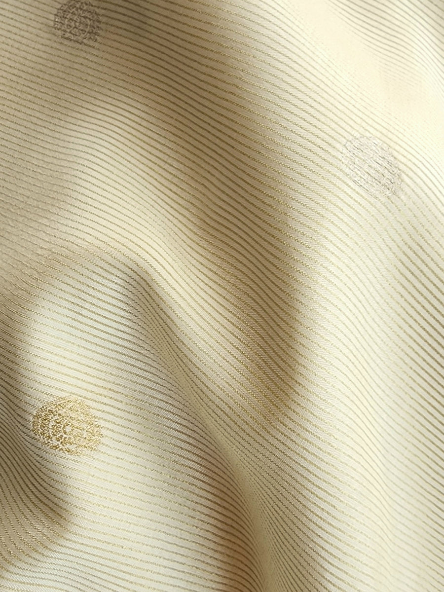 Tissue Crepe Silk Saree with Woven Borders – VALAMPURI